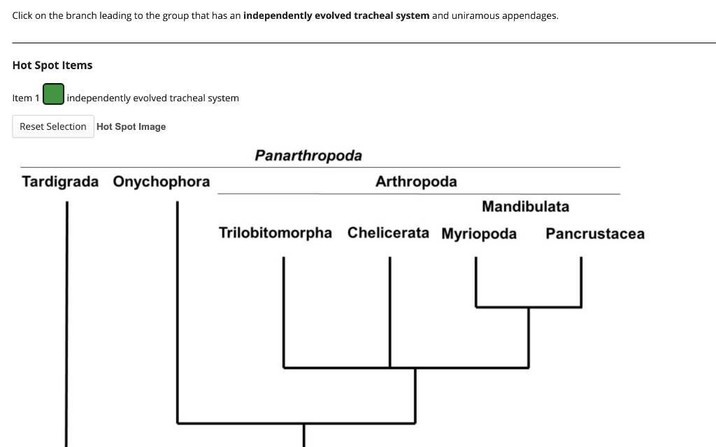 Solved Click on the branch leading to the group that has an | Chegg.com
