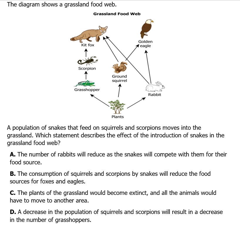 Solved The diagram shows a grassland food web. A population | Chegg.com