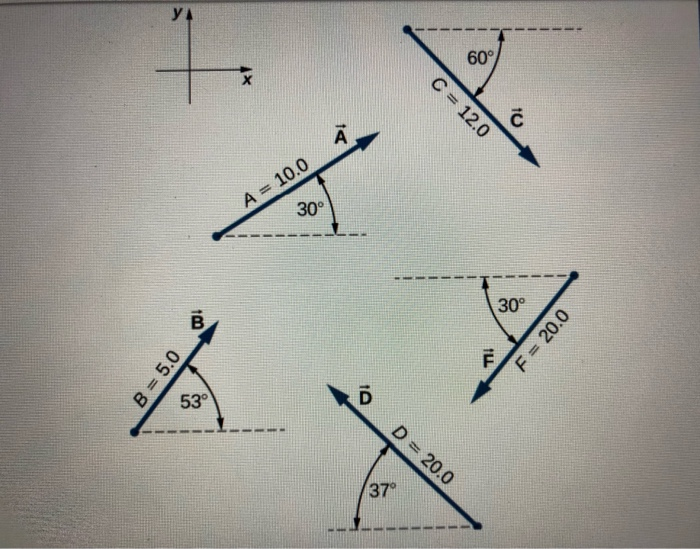 Solved 1) Consider a vector A, 5.0 m long, making a 30° | Chegg.com