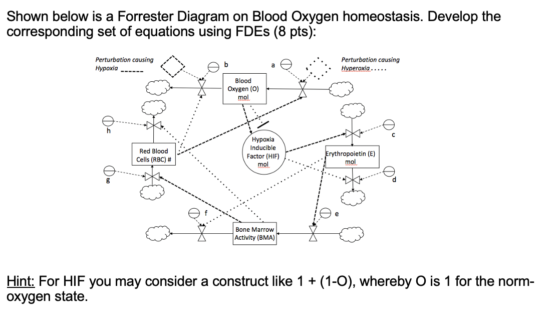 What is the ODE and FDE equations using the Blood | Chegg.com