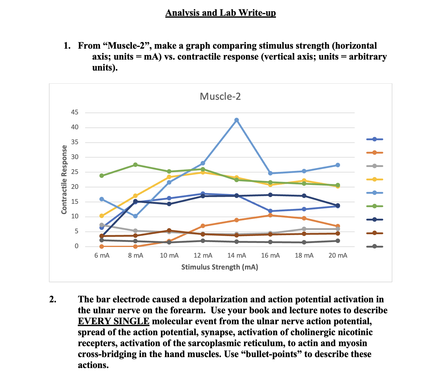 Solved Analysis and Lab Write-upFrom "Muscle-2", ﻿make a | Chegg.com