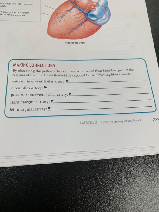 Solved els with the left marginal wall. s along the | Chegg.com