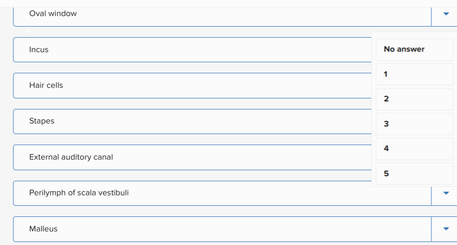Diagram Transmission Of Sound To The Inner Ear Pearson Ear Q