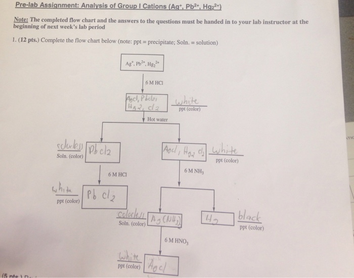 Solved I need help writing the net ionic equations for the | Chegg.com