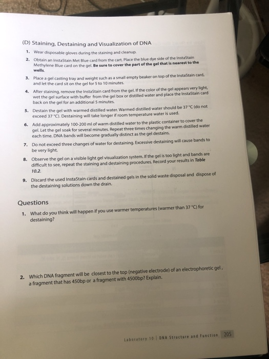 Solved D) Staining. Destaining and Visualization of DNA 1. | Chegg.com