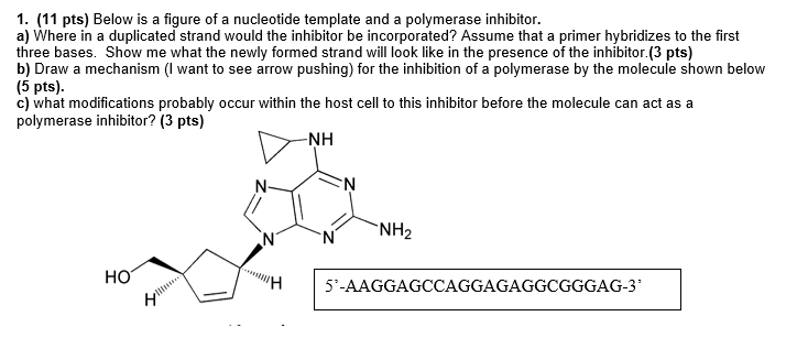 Solved 1. (11 pts) Below is a figure of a nucleotide | Chegg.com