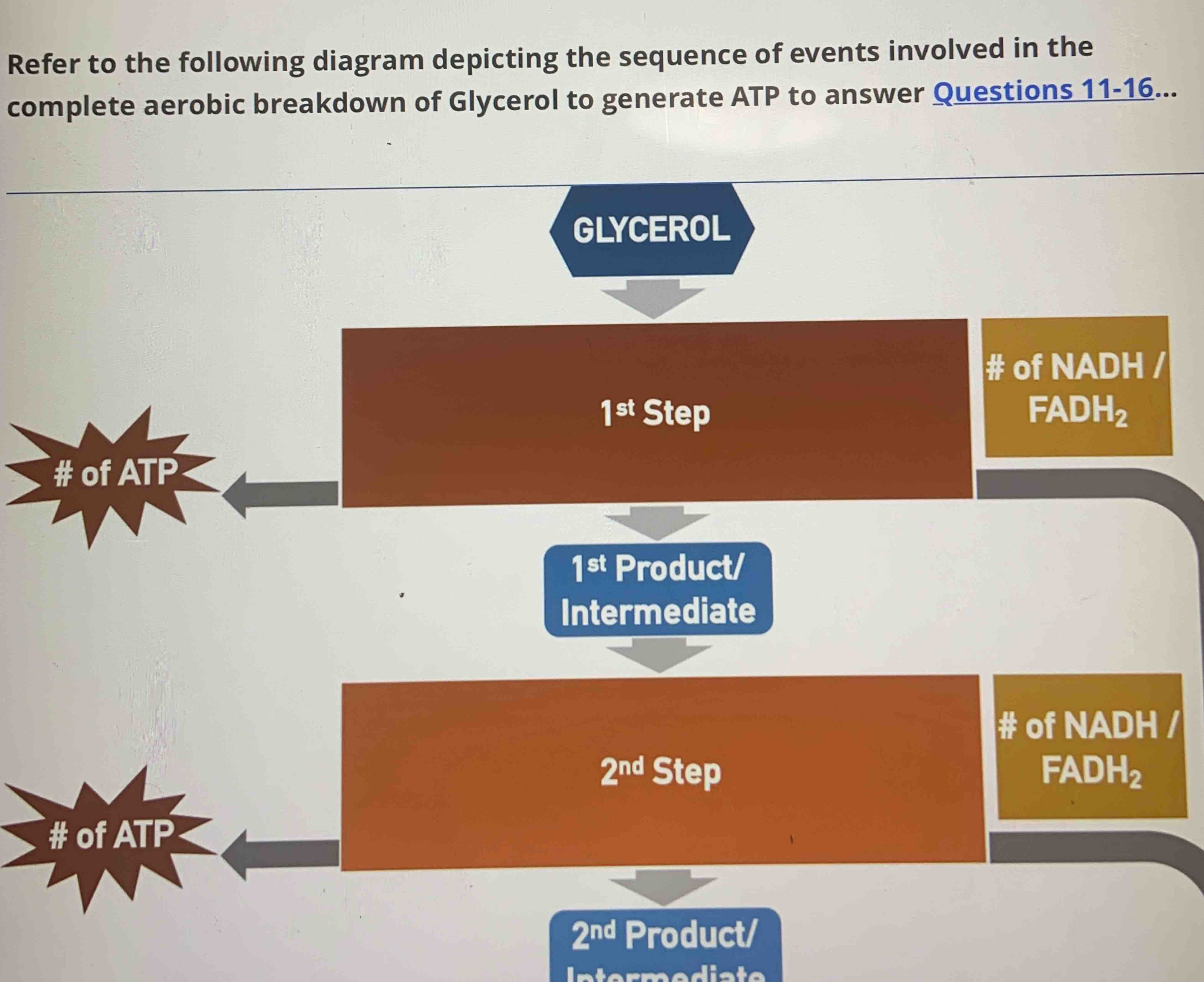 Solved Refer to the following diagram depicting the sequence | Chegg.com Solved Refer to the following diagram depicting the sequence | Chegg.com