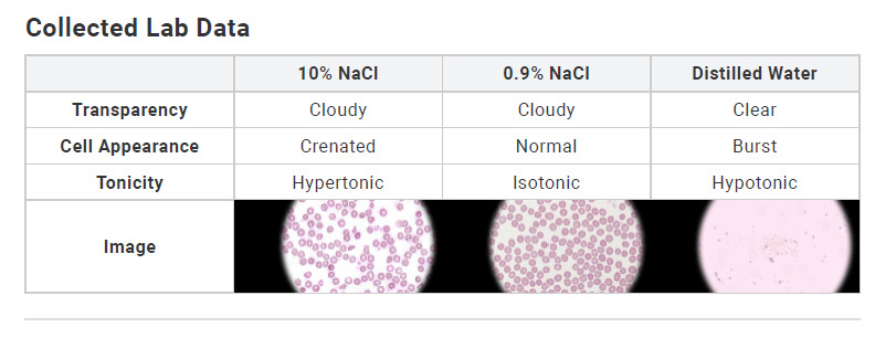 Solved Write the materials and | Chegg.com