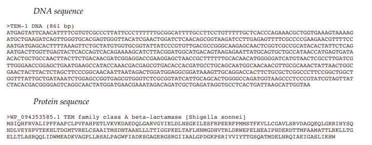Solved Primer Design for making point mutants of TEM-1 End | Chegg.com