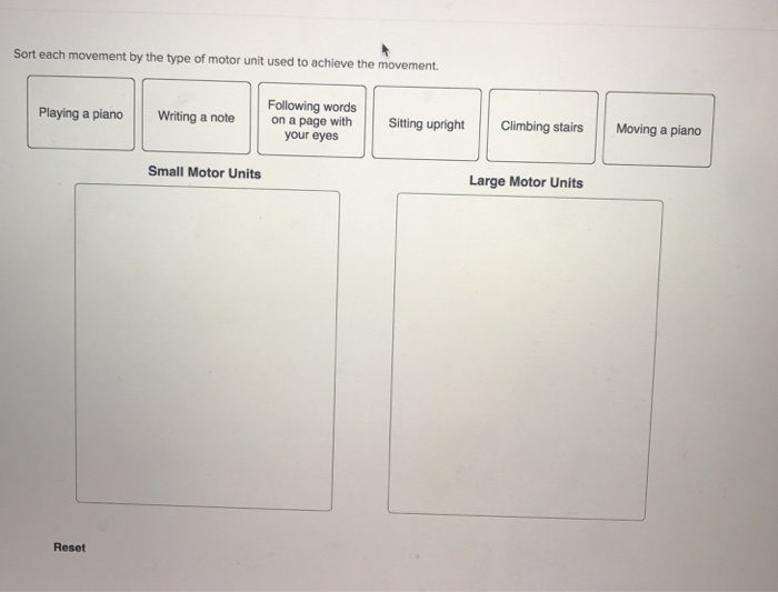 Solved Sort each movement by the type of motor unit used to | Chegg.com