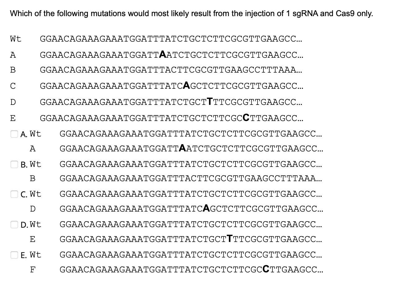Solved Which of the following mutations would most likely | Chegg.com