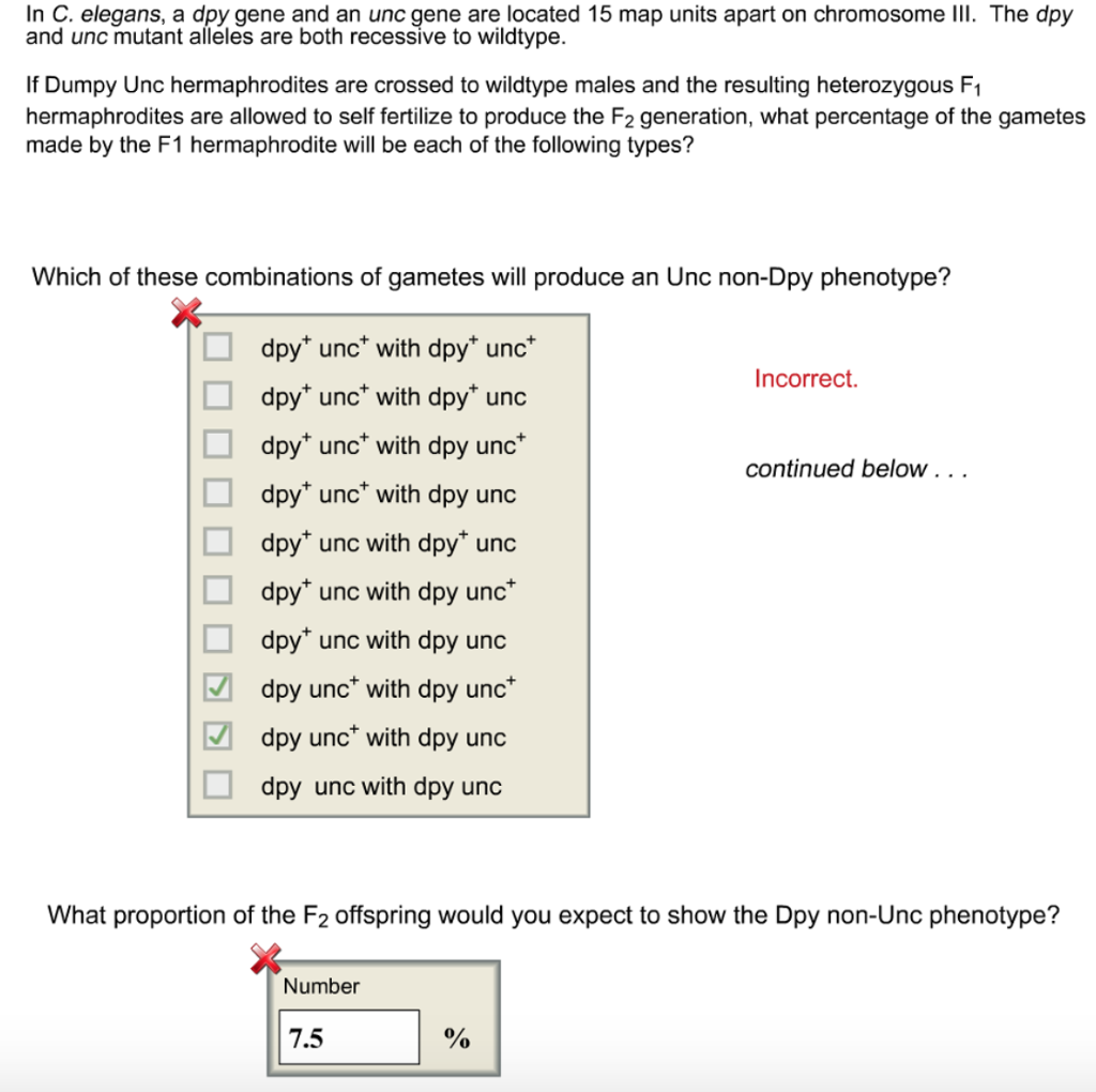 Solved In C. elegans, a dpy gene and an unc gene are located | Chegg.com