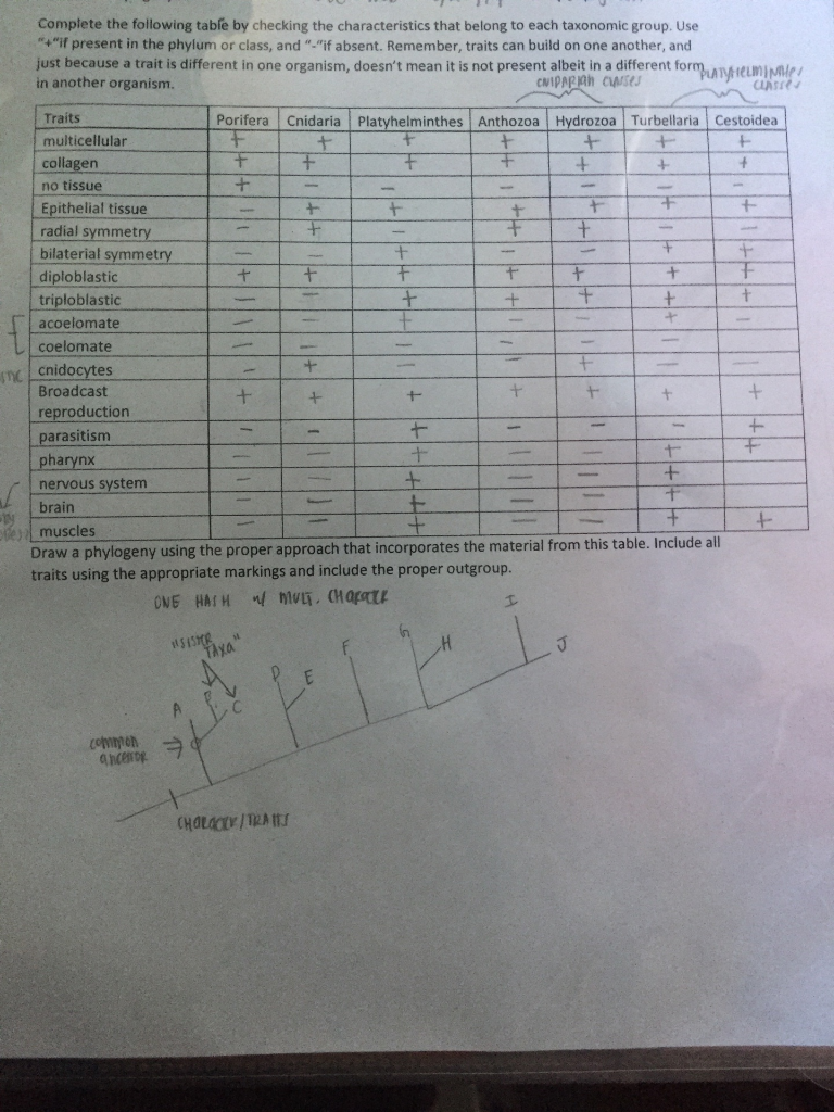 Please help with this phylogeny assignment! Not sure | Chegg.com