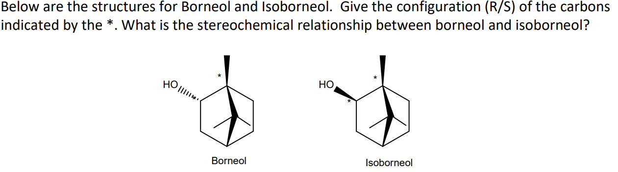 Solved Below are the structures for Borneol and Isoborneol. | Chegg.com