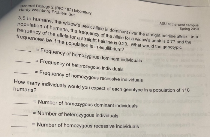 Solved general Biology 2 (BIO 182) laboratory Hardy Weinberg | Chegg.com