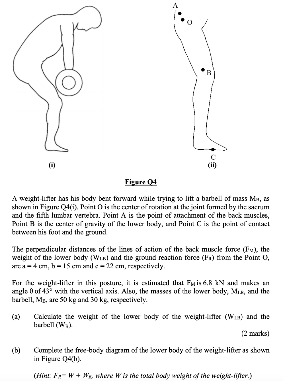 Solved A B (i) Figure 04 A weight-lifter has his body bent | Chegg.com
