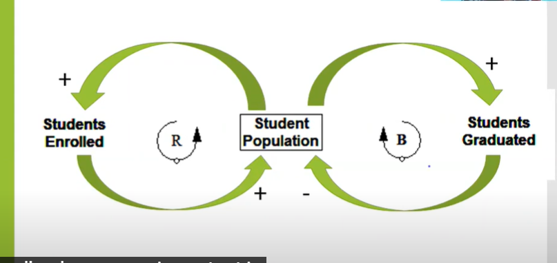 Explain the following first order | Chegg.com