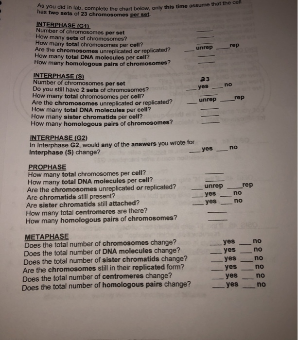 Solved As has two sets of 23 chromosomes per set complete | Chegg.com