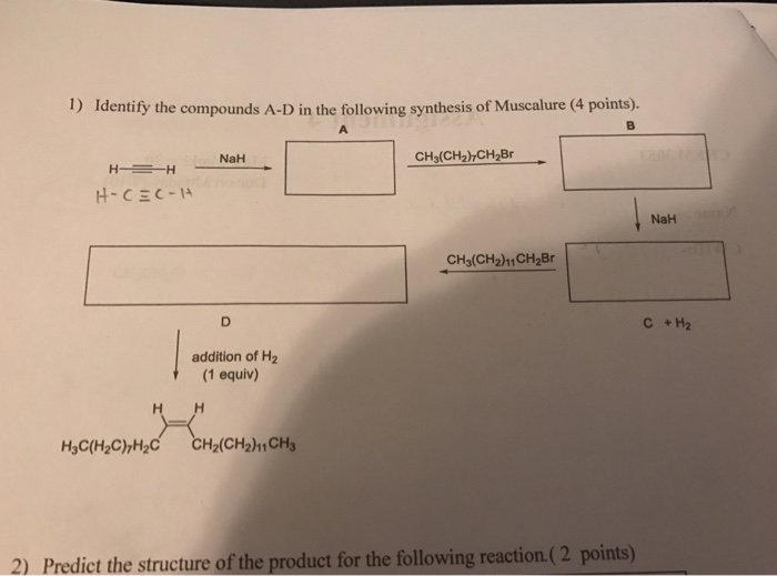 Solved Identify the compounds A-D in the following synthesis | Chegg.com