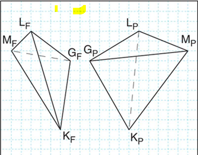 Solved Please: Find the dihedral angle between planes LG and | Chegg.com