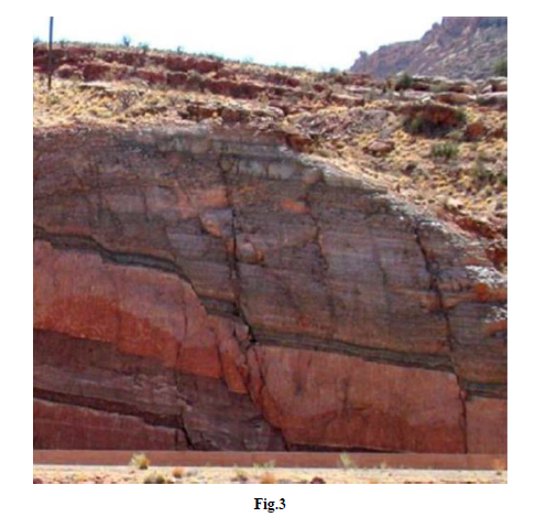 Solved (a) Identify the type of fault shown in Fig.3. Give | Chegg.com