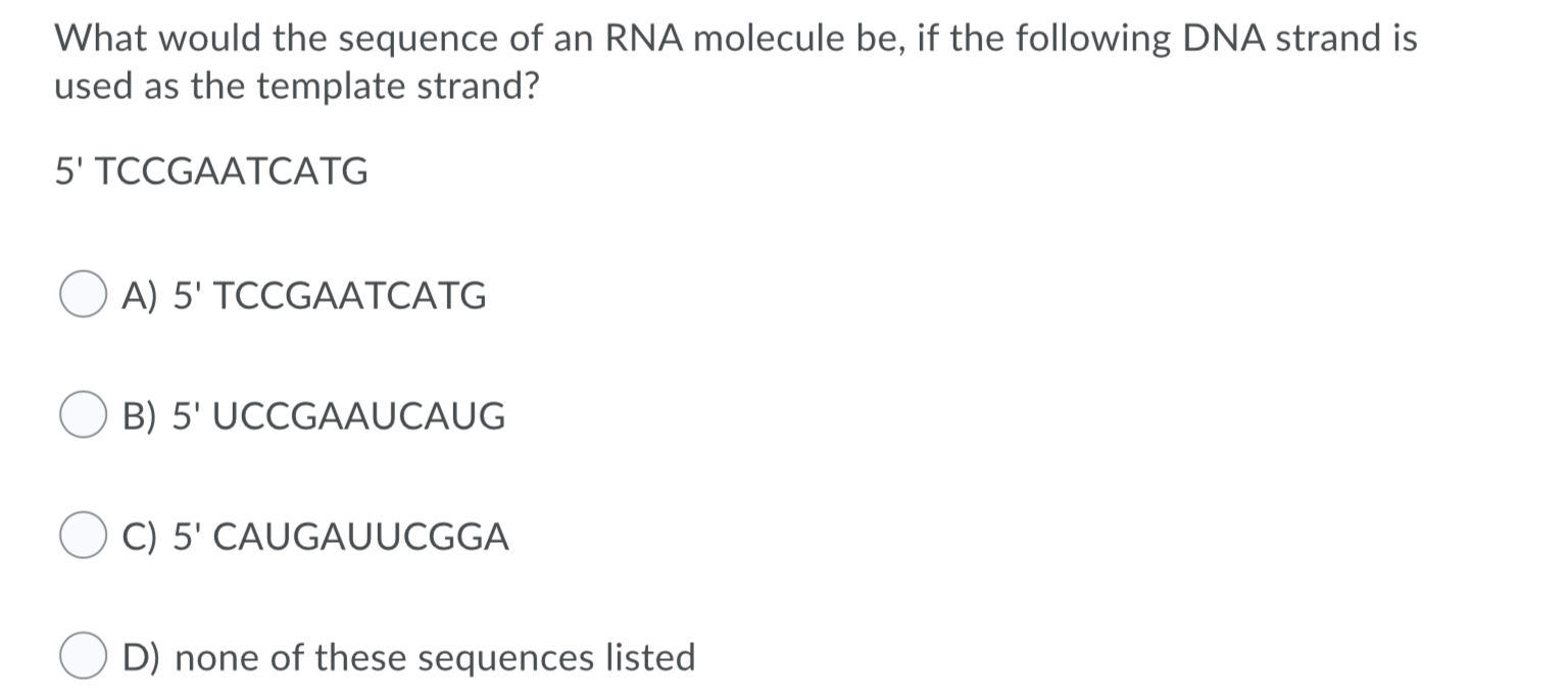 Solved A circular piece of double-stranded DNA is initially | Chegg.com