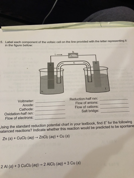 Solved 5. Label each component of the voltaic cell on the | Chegg.com