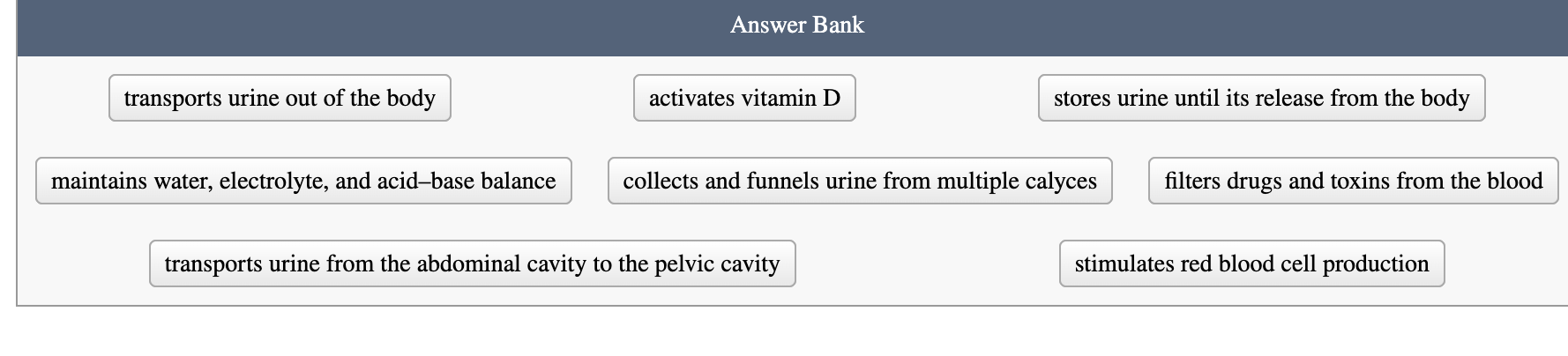 Solved Match each major function of the urinary system with | Chegg.com