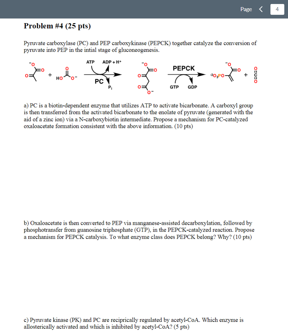 Solved Pyruvate carboxylase (PC) and PEP carboxykinase | Chegg.com