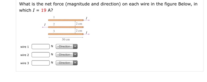 Solved What is the net force (magnitude and direction) on | Chegg.com