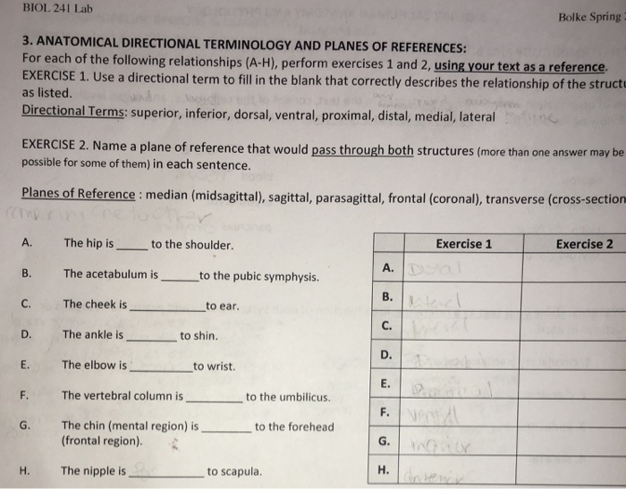 Solved Anatomical direction. Help fill this out for me and | Chegg.com