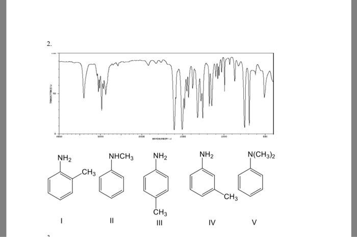 Solved 2. NH2 N(CH3)2 NHCH3 NH2 NH2 CH3 CH CH | Chegg.com