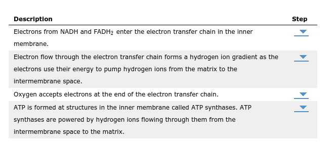 Solved 1. Stage 3 - Electron transfer phosphorylation The | Chegg.com