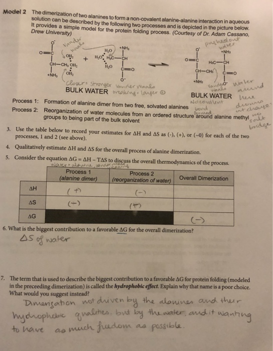 Model 2 The dimerization of two alanines to form a | Chegg.com