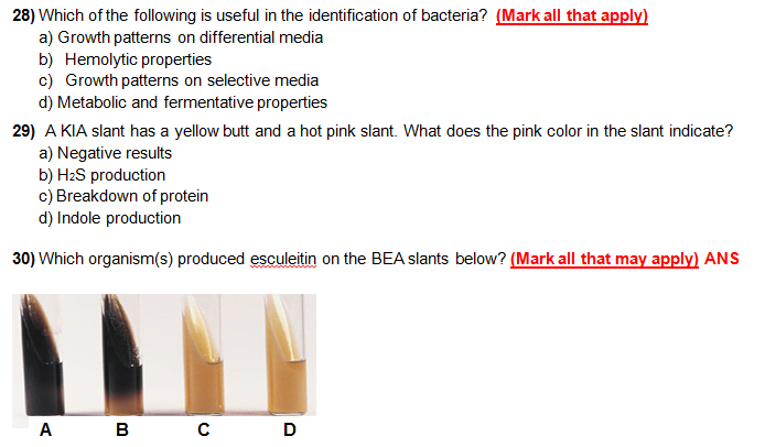 Solved 1) What type of an immunological assay is shown? a) | Chegg.com