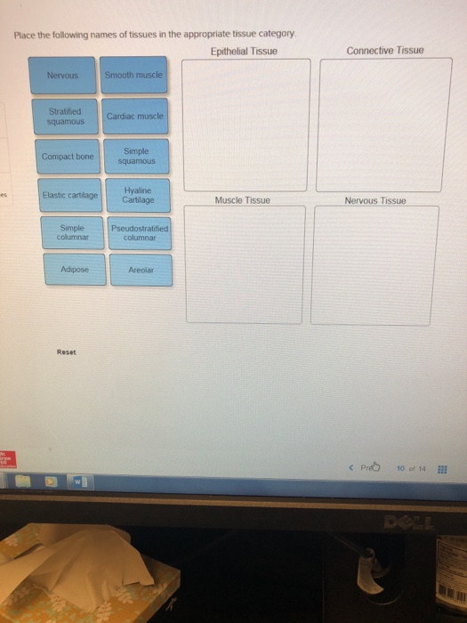 Solved Saved ill-in the flow chart on connective tissue to | Chegg.com