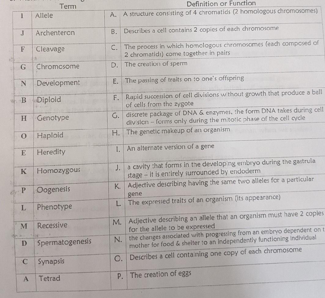 Solved Definition or Function | Chegg.com