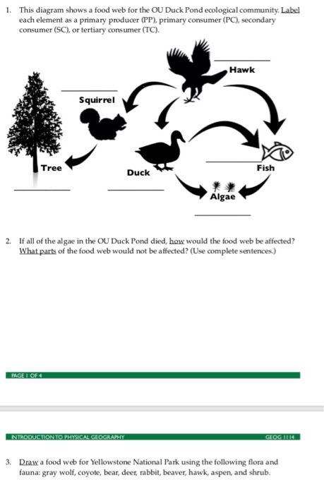 Yellowstone Food Web