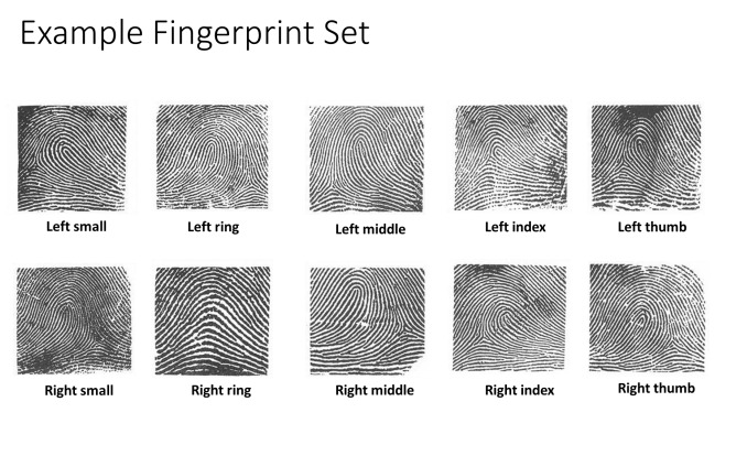 Solved Example Fingerprint Set Left small Left ring Left | Chegg.com