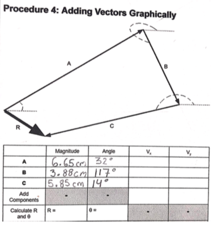 Solved Procedure 4: Adding Vectors Graphically If you use a | Chegg.com