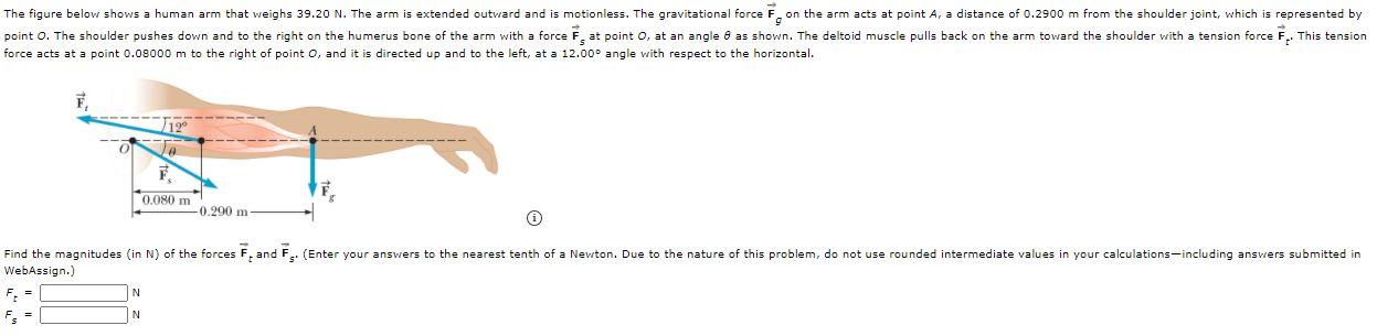 Solved The figure below shows a human arm that weighs 39.20 | Chegg.com