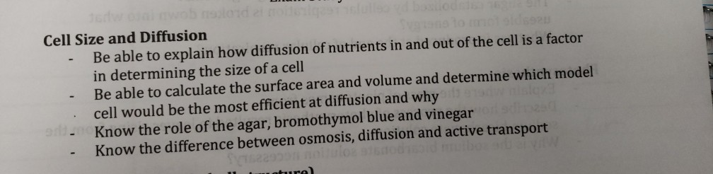 Solved Cell Size and Diffusion Be able to explain how | Chegg.com