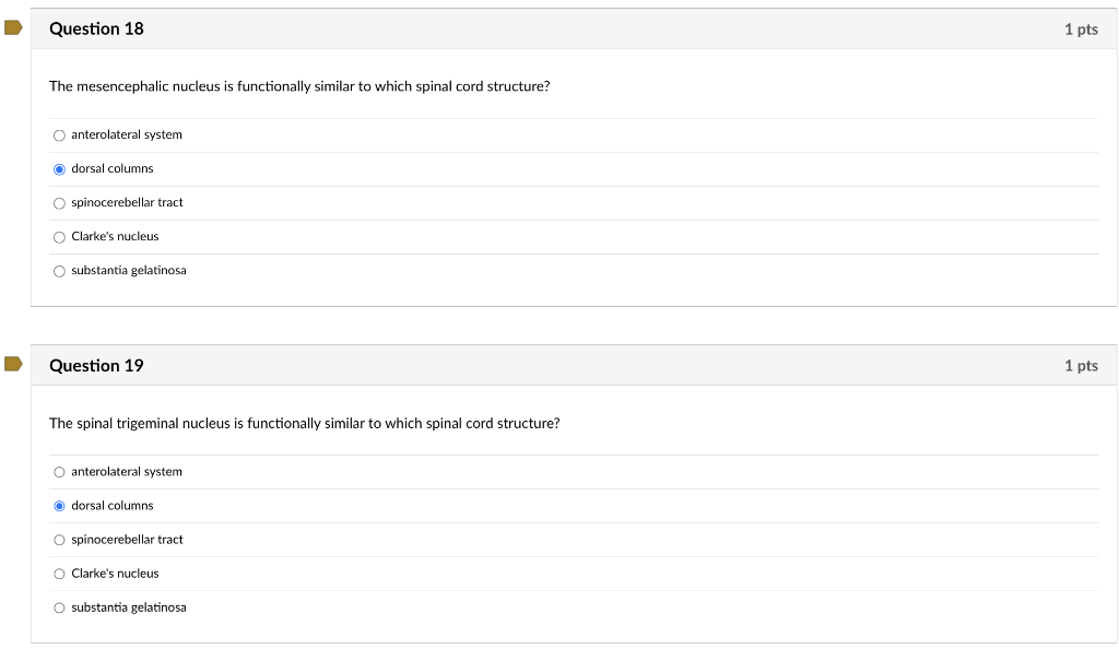 Solved The Mesencephalic Nucleus Is Functionally Similar To