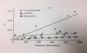 Solved The graph below shows FST, a measure of genetic | Chegg.com