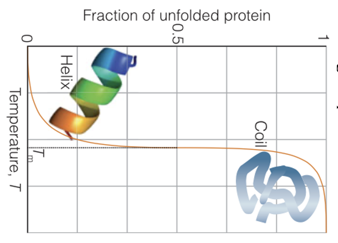 The following Figure shows that a protein unfolds as | Chegg.com
