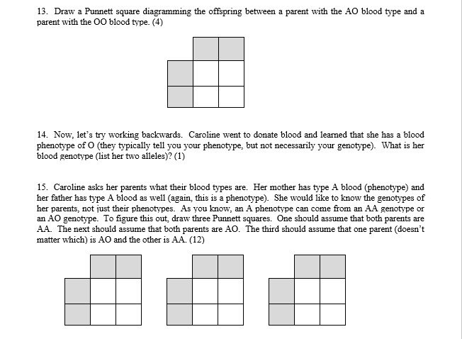 Solved 13. Draw a Punnett square diagramming the offspring | Chegg.com