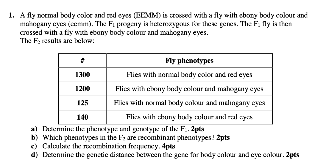 Solved 1. A fly normal body color and red eyes (EEMM) is | Chegg.com