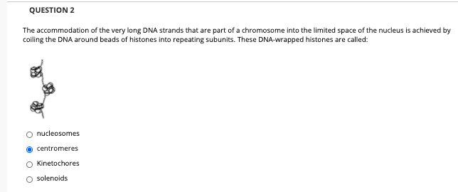 Solved QUESTION 2 The accommodation of the very long DNA | Chegg.com