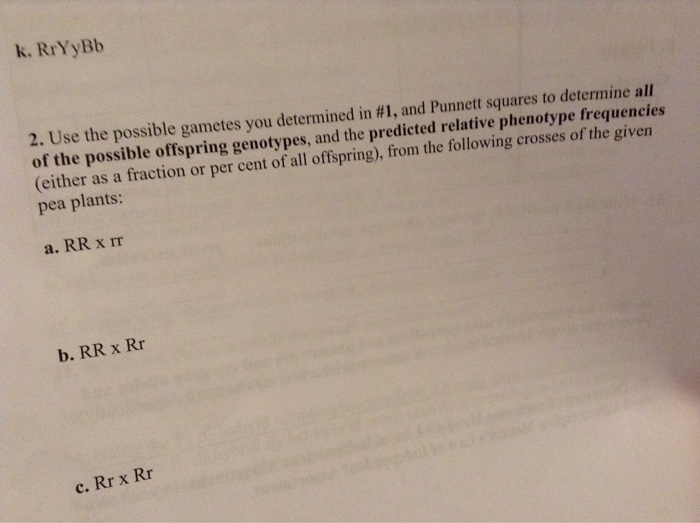 Solved k. RrYyBb 2. Use the possible gametes you determined | Chegg.com