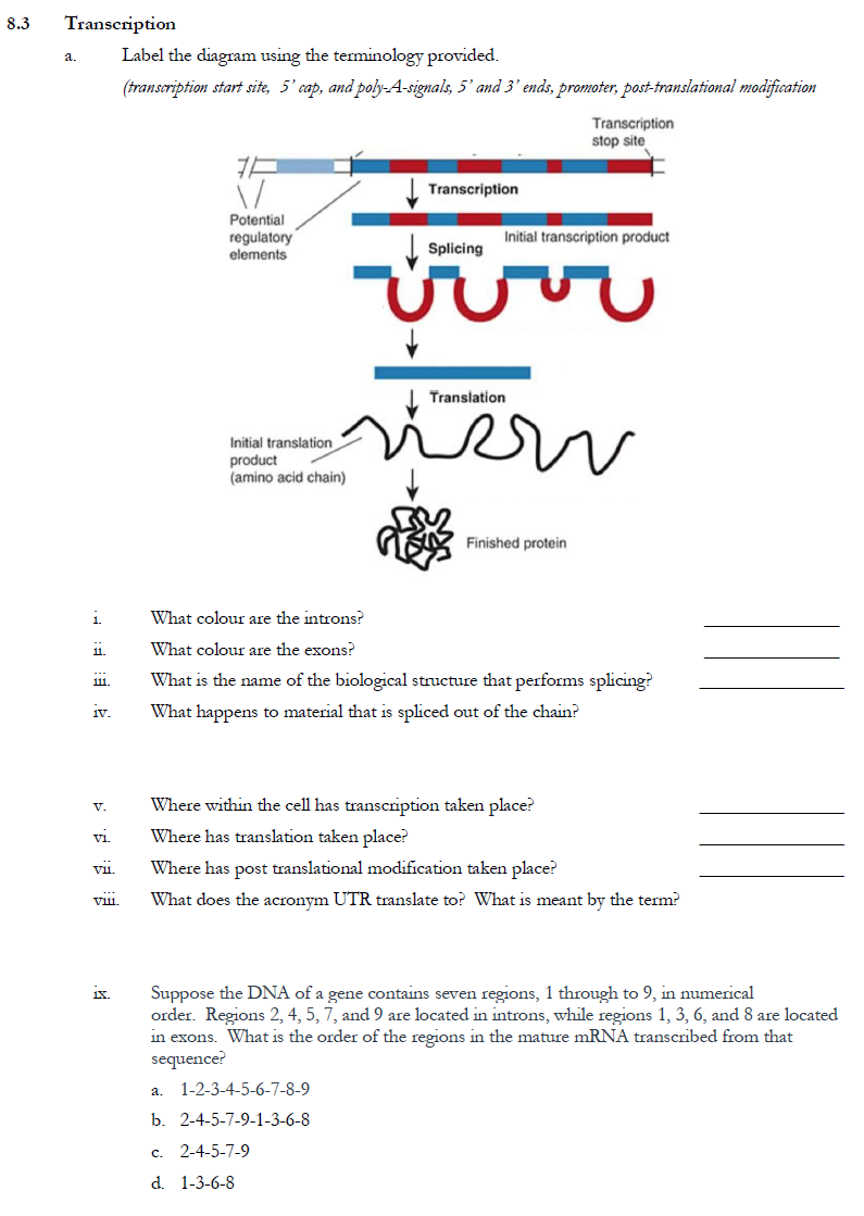 Solved 8.3 a. Transcription Label the diagram using the | Chegg.com